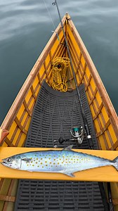 10K views · 49 reactions | Just posted a new video on the Cape Falcon Kayak YouTube channel of us fishing from the skin on frame pedal drive canoe down here in Baja. We hooked into a nice Spanish mackerel, and in the video I show you how to clean it and make Mexican style ceviche. . . . #catchandcook #fishing #baja #skinonframecanoe | Cape Falcon Kayak | Facebook