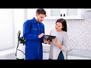 Understanding and Managing Rodent Issues in Residential Spaces Through Professional Pest Control