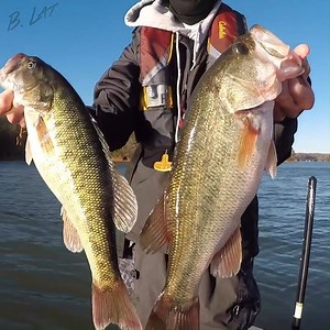 I Found A MEGA School Using My Fishfinder! | Brian Latimer