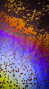 Galactic decay ----- Thin-film interference is a colorful optical phenomenon where light waves reflecting off the top and bottom surfaces of a thin layer (like oil on water or a soap bubble) interfere, creating bright or dark patterns by constructively or destructively combining at different wavelengths. This interference depends on the film's thickness, the light's wavelength, and phase shifts upon reflection, causing certain colors to appear enhanced or canceled out, leading to iridescent patt