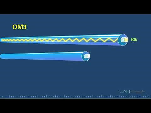 Fiber Type Versus Speed and Distance