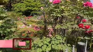 5.4K views · 286 reactions | Seeking the lost | Adventist Songs | Facebook