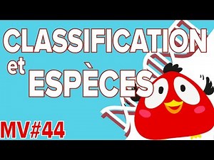 Espèces et classification MV#44-SVT Collège - Mathrix