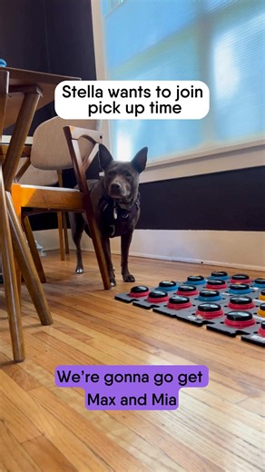 Stella doesn’t just listen to the plans…she adds herself to them! I love how buttons help turn our everyday routines into opportunities for communication and connection. Sometimes Stella likes to come with us, and sometimes she likes to stay home and rest. Either way, she can let us know 🐶💬 #hunger4words #buttontraining #yourdogcantalk #talkingdogbuttons #dogvideos #aic #dogmom | Hunger for Words