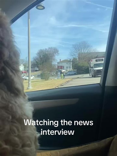 Arizona watches my news interview from the car. She is supportive of all her friends, even her Pack Leader. 😂 Apparently her dad decided to narrate the video as well 😂