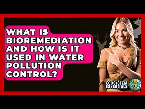 What Is Bioremediation And How Is It Used In Water Pollution Control? - Ecosystem Essentials