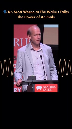 22 reactions | This World Antimicrobial Resistance Awareness...