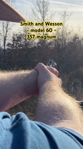 Smith and Wesson - model 60