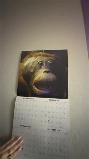 Unique Christmas Calendar for Holiday Fun