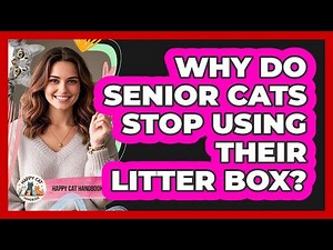 Why Do Senior Cats Stop Using Their Litter Box? - Happy Cat Handbook