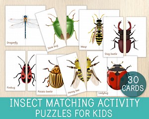Insect Matching Activity, 30 Insect Puzzles, Symmetry, Kids Puzzles, Toddler and Preschool Game, Busy Book, Busy Bags, Montessori Style - Etsy