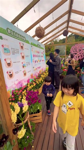 2026士林官邸鬱金香展11萬株花海