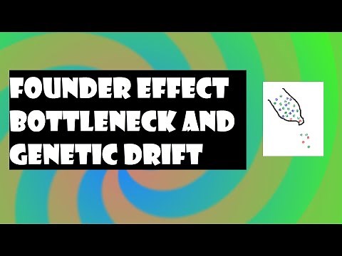Founder Effect Bottleneck and Genetic Drift