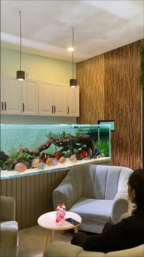 😍 Most beautiful discus tank ever