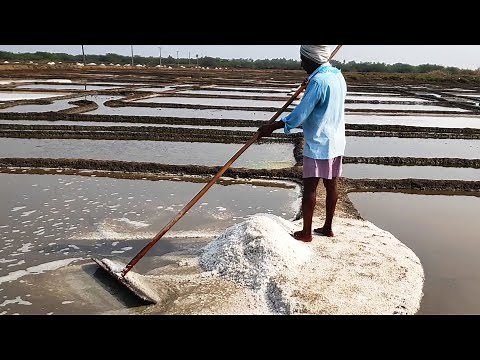 Crystal salt from sea water (NaCl) preparation || Nacl Mineral Making / Village Survival Food
