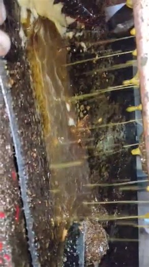 EXPELLER OIL MACHINE 6 BOLT