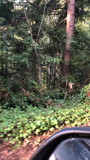 26K views · 798 reactions | Spring time is coming ❤️李 #spring #squirrel #nature #onthego | Dakota Chapman | Facebook