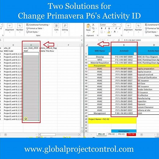 🔴 Two solutions for changing Primavera P6's Activity ID