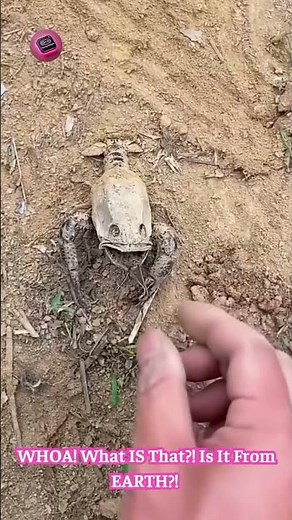 ALIEN Fish Found?! This Deep-Sea Creature Looks Straight Outta Space! (Part 1)👽🐠🤯 #NatureMystery