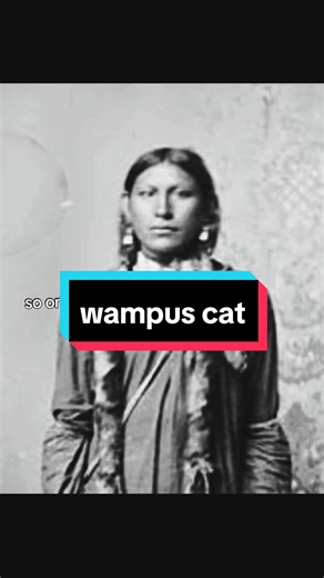 #cryptid #wampuscat #folklore #history #legend #appalachia ( like & follow along for more #storytimefromthesouth )