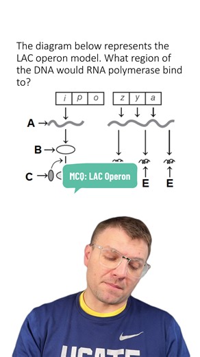 MCQ: LAC Operon #learnontiktok #biology #edutok #science #stem
