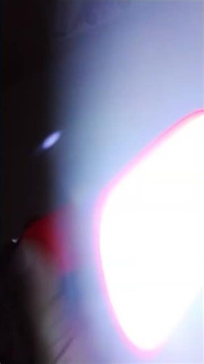 think fast chucklenuts