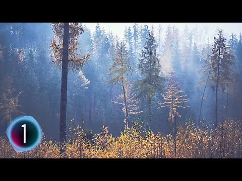 How to MASTER COLOR with COLOR BALANCE Tool in Capture One 20