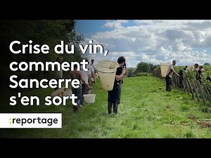 Wine crisis: how Sancerre is coping
