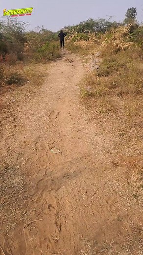 RusticRun2026 Route final #RusticRun2026- Register here https://www.townscript.com/e/rustic-run-2026-110324 or check at www.coachravinder.com On the occasion of Makar Sankranti, an event hosted by Gir Amritphal Gaushala in Rural and Rustic setting off 40Km from Gurgaon in Sohna, near Westin Sohna Resort. The lush yellow mustard fields will greet you. Imagine running on a soft sand dirt track and through wheat & mustard fields. Do indulge in interesting activities like Kite Flying, Dahi Bilona an