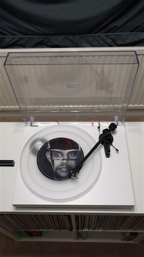 Vinyl: The Weeknd - Earned It