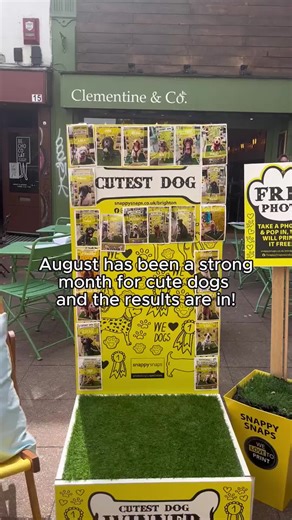 cutest dog AUG 2025 ✨TO CLAIM YOUR PRIZE OF A FREE A3 PRINT AND FRAME POP IN TO SEE US ✨ #photo #photogift #photobook #photography #digital #printing #digitalprinting #personalisedgifts #turnmemoriesintogifts #memorablemoments #mugs #supportlocal #snappysnaps #brighton #barkinthepark #brightondogs #doglovers #brightonandhove #doggies #queenspark #hoveactually #brightonlife #brightoncommunity