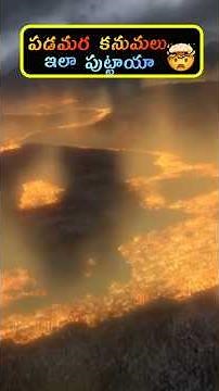 Interesting formation of Western ghats || #facts #telugu #interestingfacts