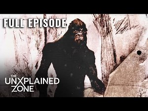 Deadly Creature ATTACKS Southern Town (S1, E2) | Cryptid: The Swamp Beast | Full Episode