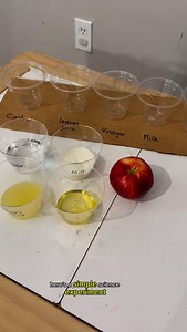 3 comments | A quick apple science experiment  We used 5 slices with different liquids to see which slowed browning. The kids made predictions and checked results the next day! Follow @simply_fw for more ❤️ #AppleScience #SimpleScienceForKids #STEMActivitiesForKids #HandsOnLearning #ScienceForLittles #EasyScienceExperiment #HomeschoolScience #PreschoolScience #AppleExperiment #FallLearningFun | Simply_fw | Facebook