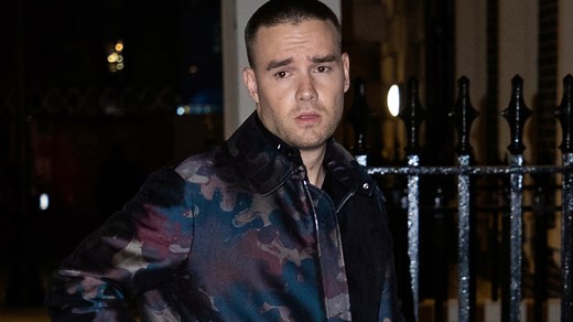 Liam Payne Unfortunately Chose Violence While Talking One Direction on Logan Paul's Podcast