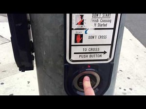 Wait, wait, wait, at the crosswalk