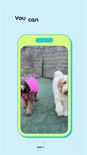 Furever Pet on Instagram: "🎉 BIG NEWS FOR OUR PET PARENTS! 🎉 We’re so excited to share a brand-new, easier way to request your pet’s favorite services! ✨ You can now request your pets play, stay, and pamper all in one place! 🐶✂️💤🛁 📲 Download the Gingr for Pet Parents Services app 💻 Or visit our website at fureverpetgrooming.com and click “Book Now” on our home page! 📌 Invitation Code: 488086 Once you log in or create an account, you’ll be able to request services, manage vaccines, make p