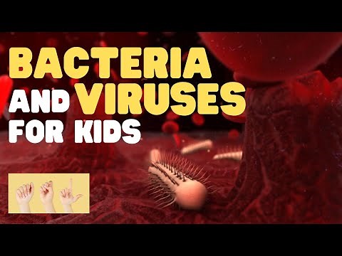 ASL Bacteria and Viruses for Kids