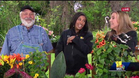 Farmer Stan from Spring Meadow Farms has the flowers (and goats) to celebrate Spring