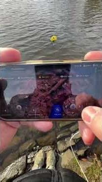 Fish Didn’t See This Coming 😱🐟 #shorts #youtubeshorts #fishhunting #fishcatch