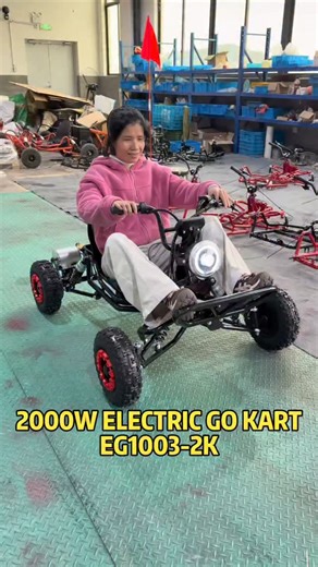 Yang Emily | Electric Cross Go Kart, Off road buggy with 2000W chain drive motor, max speed 55KM/h, Four wheel All-Terrain Vehicle #gokart #cart #buggy | Instagram