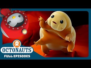 ‪@Octonauts‬ - 🐻 The Teeny Water Bears ⛑️ | Full Episode | Cartoons for Kids