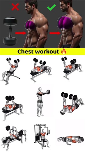 7 Chest Exercises for Bigger Massive Chest