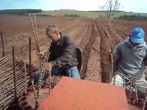 Plantio mecanizado de MANDIOCA... muito interessante! Créditos: canal sedineiferreira #maquinaspesadas #machine #machinery #tractor #trator #agriculture #farm #agricultura | As Máquinas Pesadas