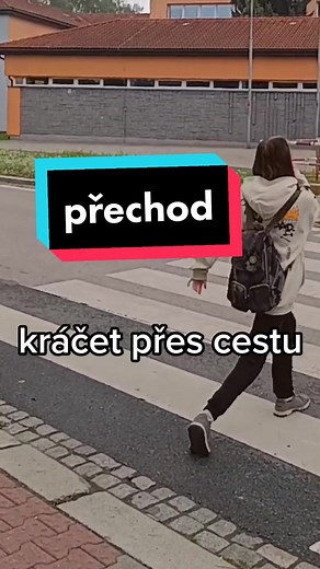#jakpřejítpřespřechodspájou #NPC #npc #tutorialspajou #přechod #fy #fypシ #fyp #viral #tutorial #lol #joke