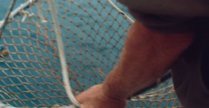 Video by Kindel Media on Pexels