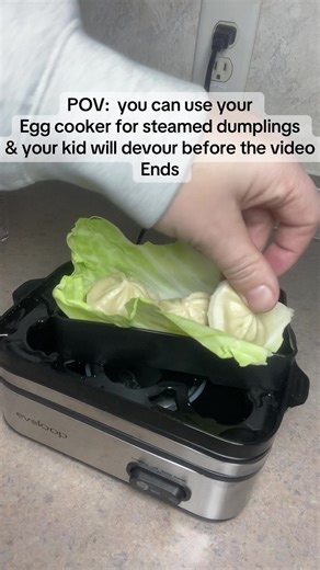 Quick and Easy Steamed Dumplings in an Egg Cooker