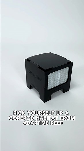 A TINY Home! Keep your sump tidy and copepods happy with Adaptive Reef's Copepod Habitat! #BRStv #Aquarium #shorts | Bulkreefsupply.com - Saltwater Aquarium Supplies