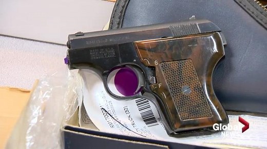 Sask. to roll out province-wide gun amnesty program