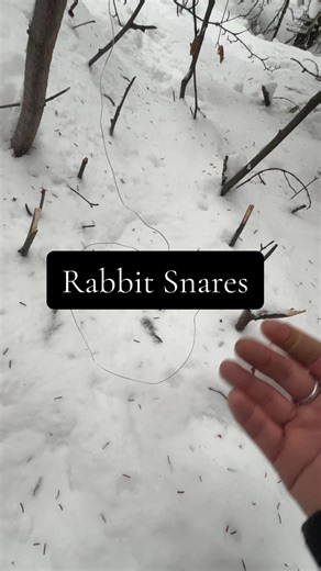 Out here, the land will teach you if you listen. Grateful to watch my kids learn life skills 🫶🏼 #alaska #alaskalife #offgrid #homestead #offgridliving